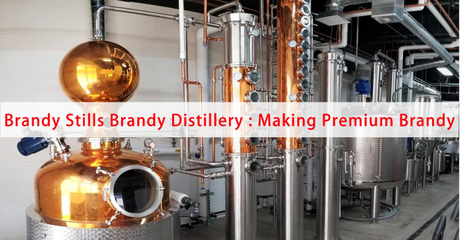 Brandy Stills Brandy Distillery : Making Premium Brandy - DAEYOO