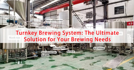 Turnkey Brewing System: The Ultimate Solution for Your Brewing Needs ...